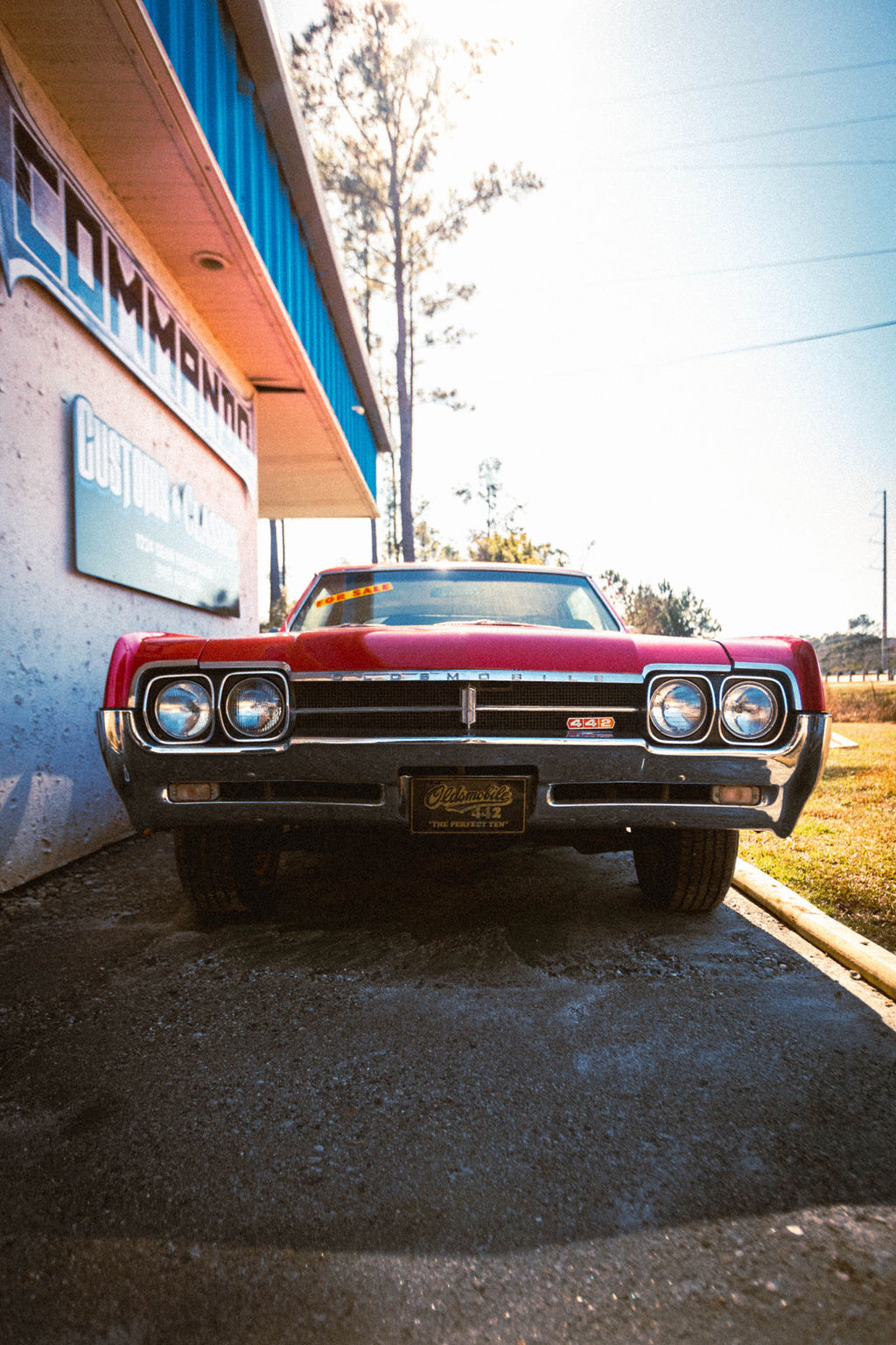 A Passion for cars and partnership with the UGA SBDC result in thriving ...